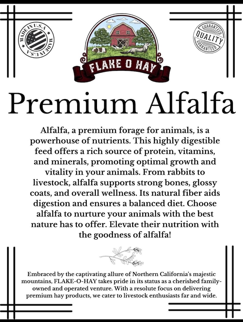 Alfalfa Hay 5 Lbs - Etsy