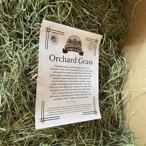 Orchard Grass Hay 5lbs - Etsy
