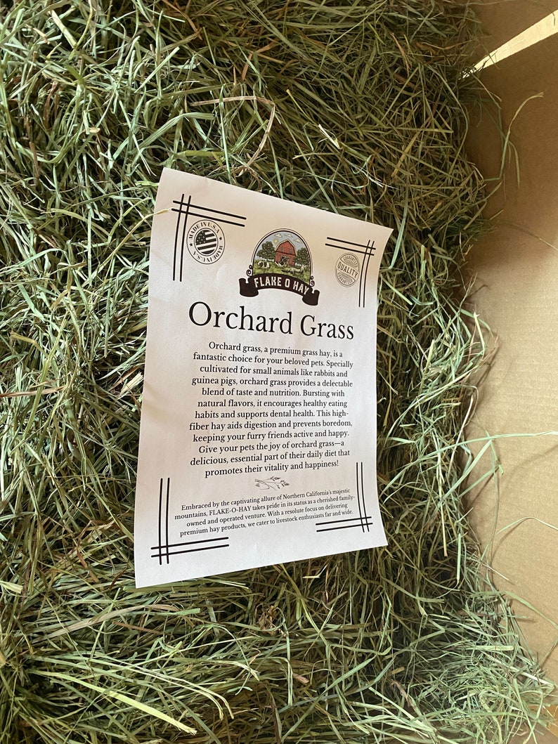 Orchard Grass Hay 5lbs - Etsy