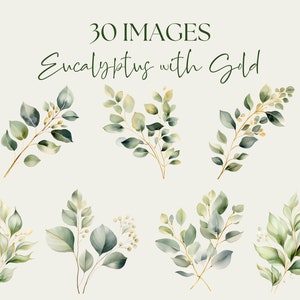 Eucalyptus Clipart. Watercolor Greenery Clip Art. Gold Foliage Images ...