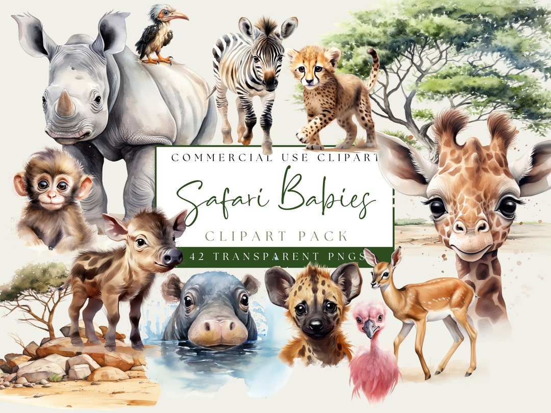 Safari Animals Clipart Watercolor Transparent Pngs Commercial Use ...