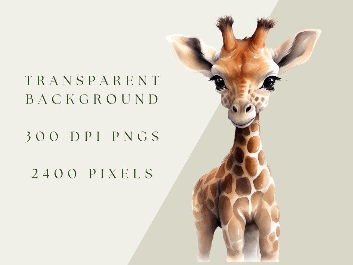 Baby Giraffe Watercolor Clipart. Commercial Use. Transparent Pngs ...