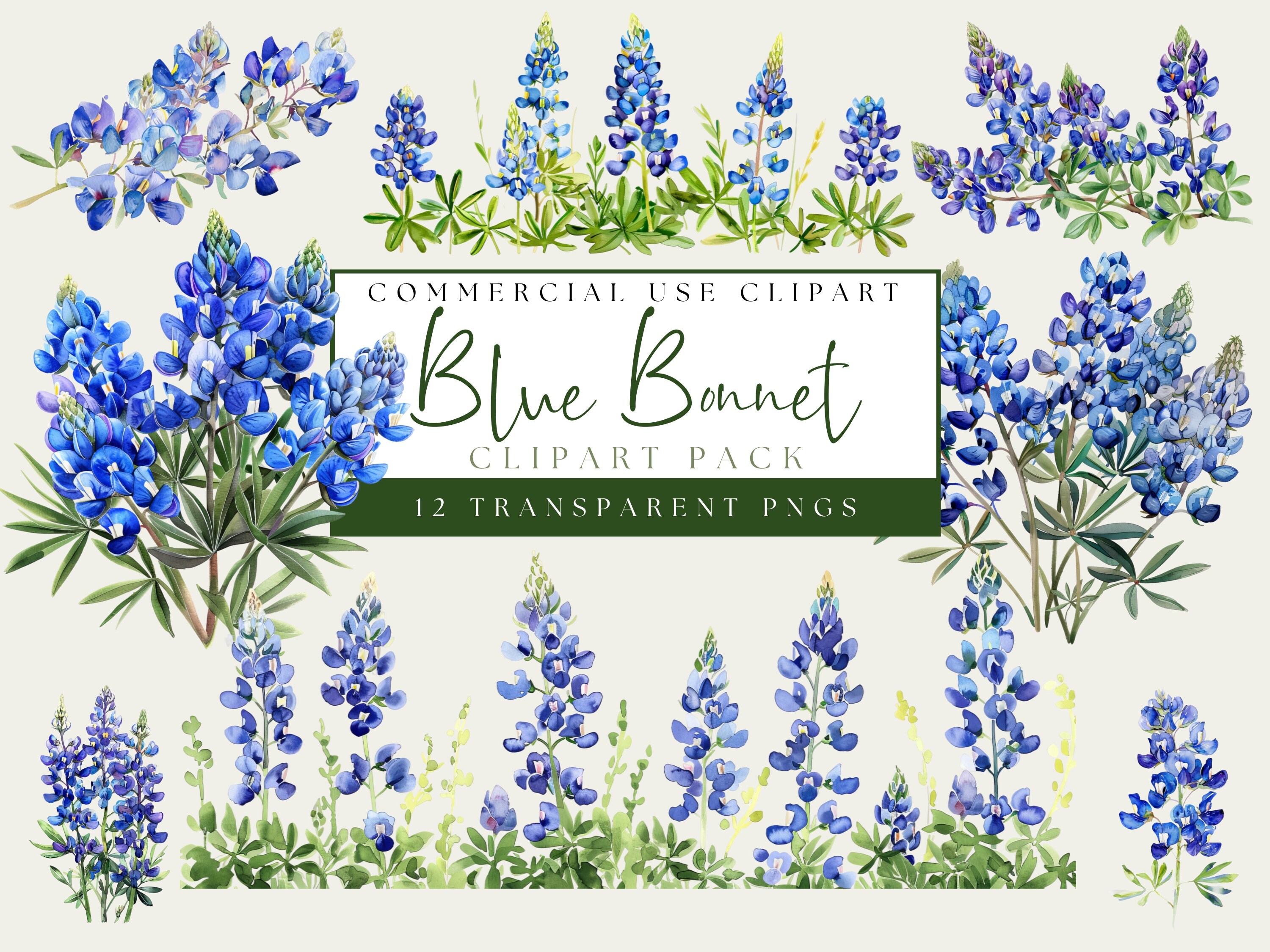 Clipart Bluebonnet. Texas Bluebonnets State Flower Watercolor Graphics ...