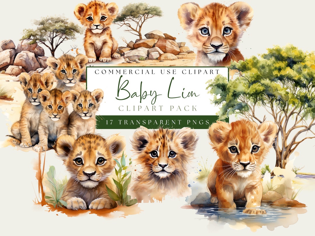 Baby Lion Watercolor Clipart. Commercial Use. Transparent Pngs. Jungle ...