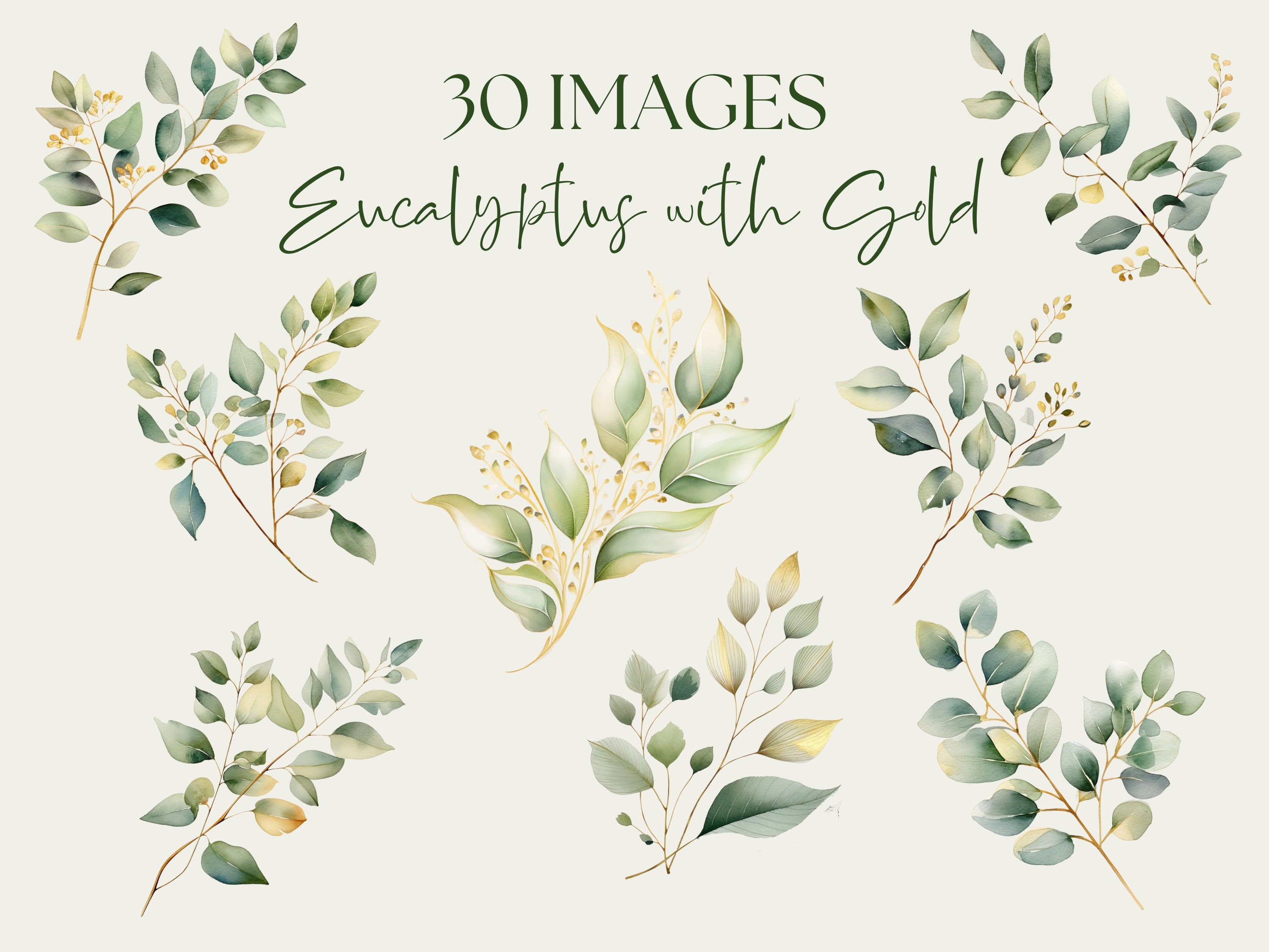 Eucalyptus Clipart. Watercolor Greenery Clip Art. Gold Foliage Images ...