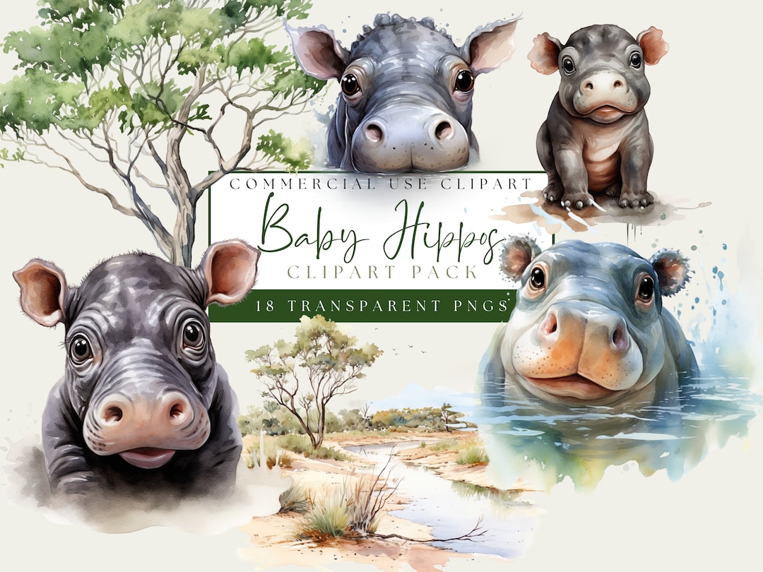 Baby Hippo Watercolor Clip Art. Commercial Use. Transparent Pngs ...