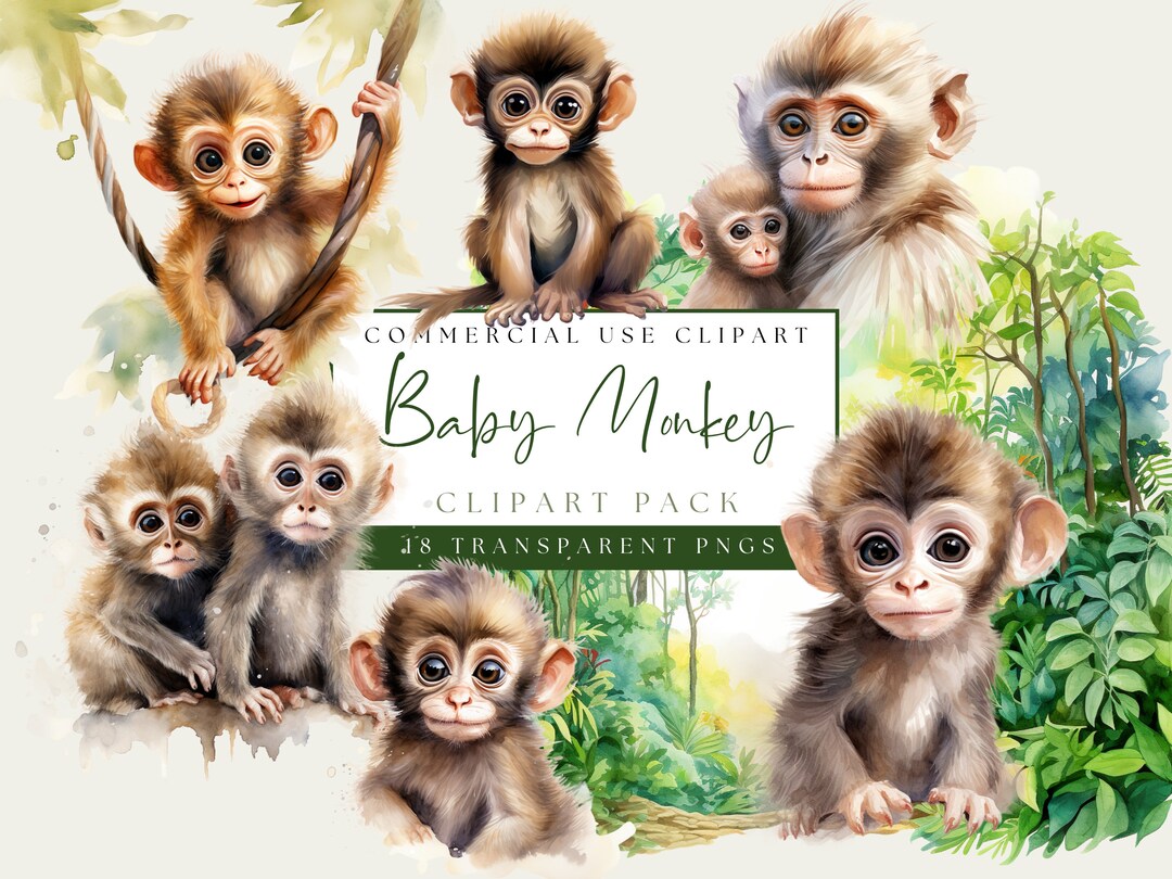 Baby Monkey Watercolor Clipart. Commercial Use. Transparent Pngs ...