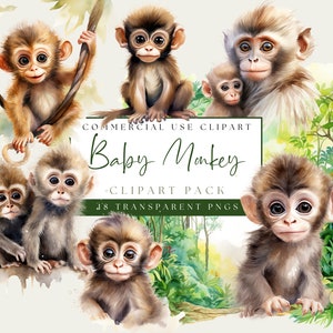 Baby Monkey Watercolor Clipart. Commercial Use. Transparent Pngs ...