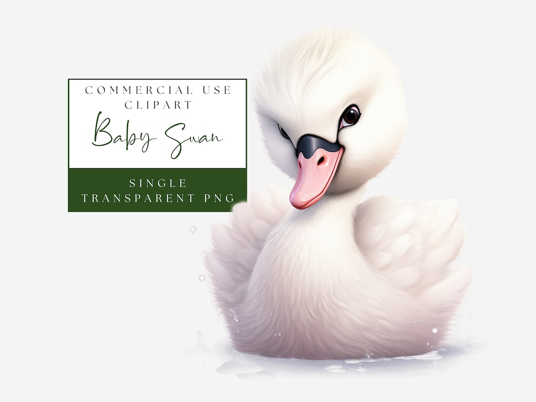 Baby Swan Clipart. Watercolor PNG Single Image. Nursery Wall Art ...
