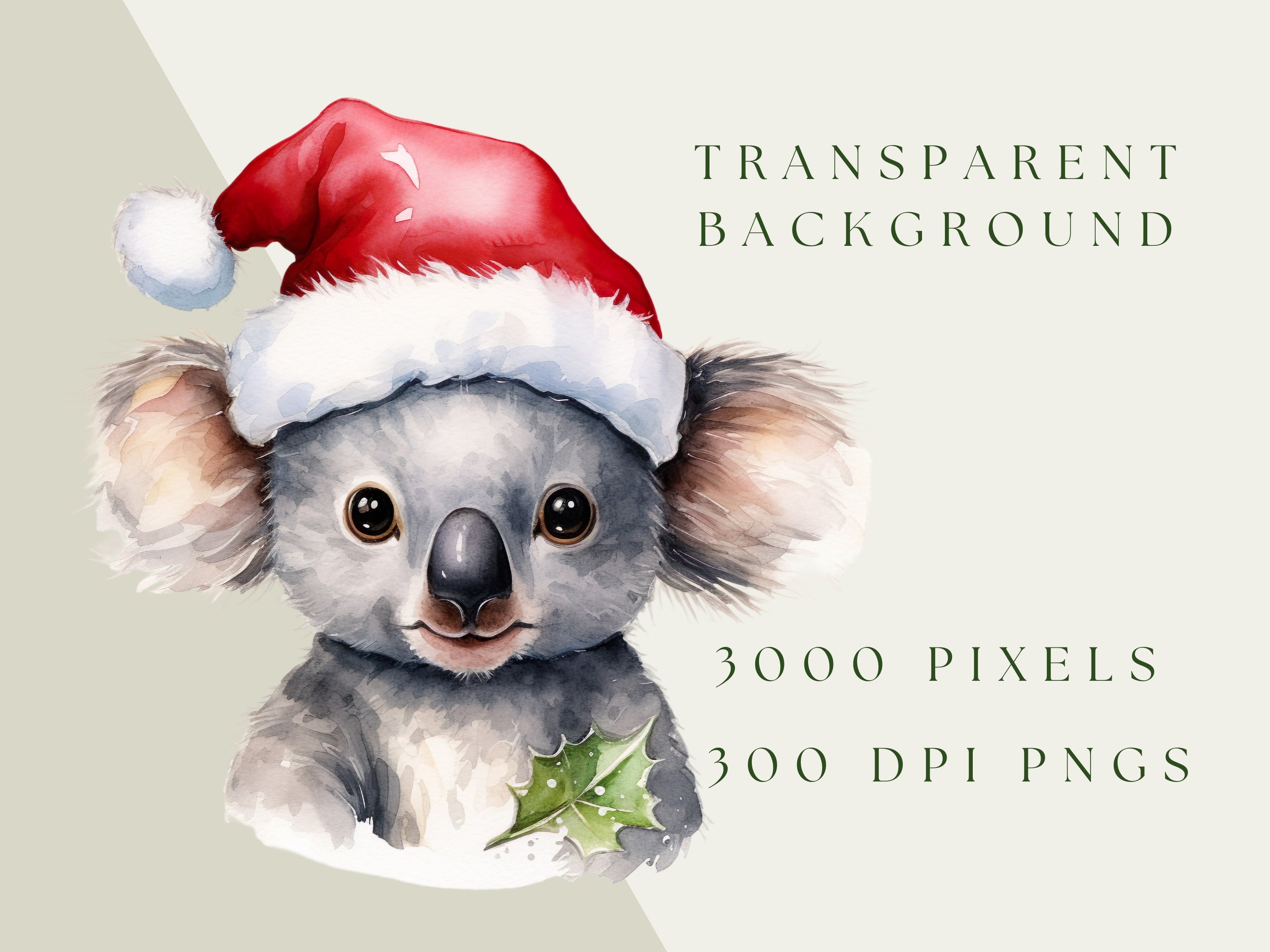 Christmas Koala Clipart. Animal in Santa Hat Graphic. Aussie Christmas ...