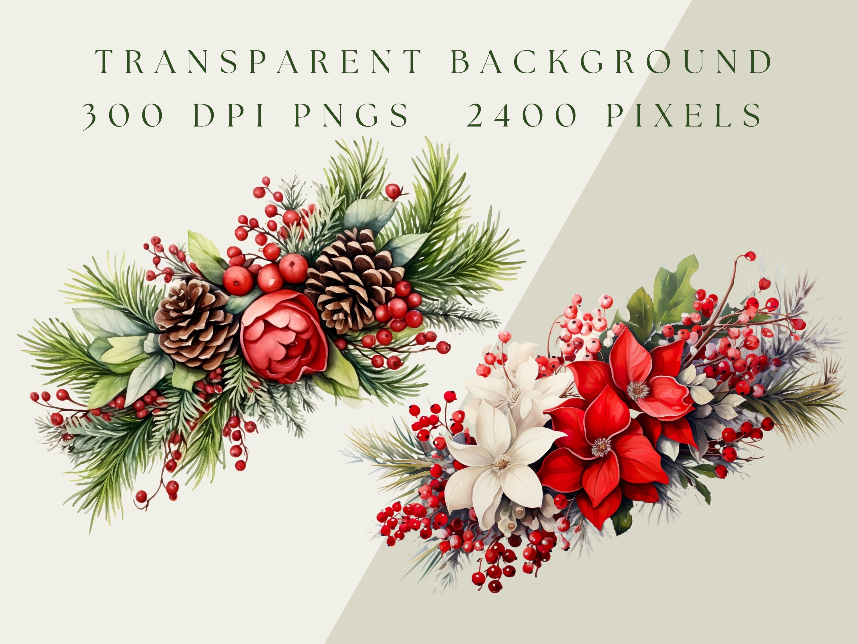Christmas Flowers Clip Art. Watercolor PNG Bundle. Xmas Florals. Vivid ...