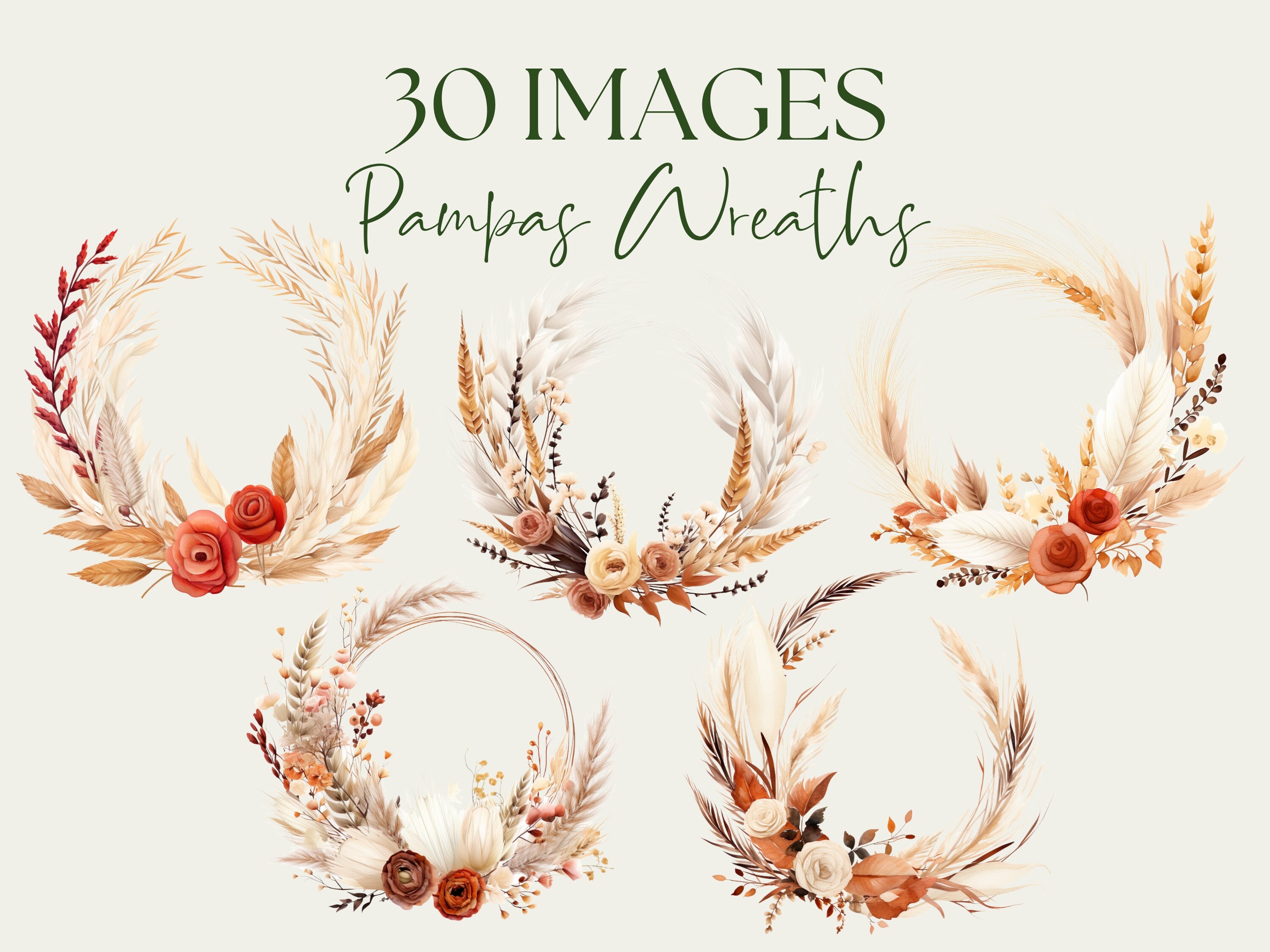 Pampas Grass & Flowers Clipart. Bohemian Images Pack. Commercial Use ...