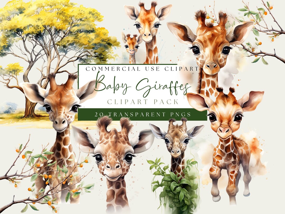 Baby Giraffe Watercolor Clipart. Commercial Use. Transparent Pngs ...