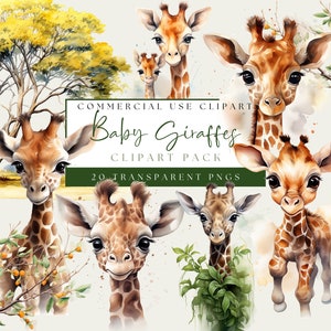 Baby Giraffe Watercolor Clipart. Commercial Use. Transparent Pngs ...