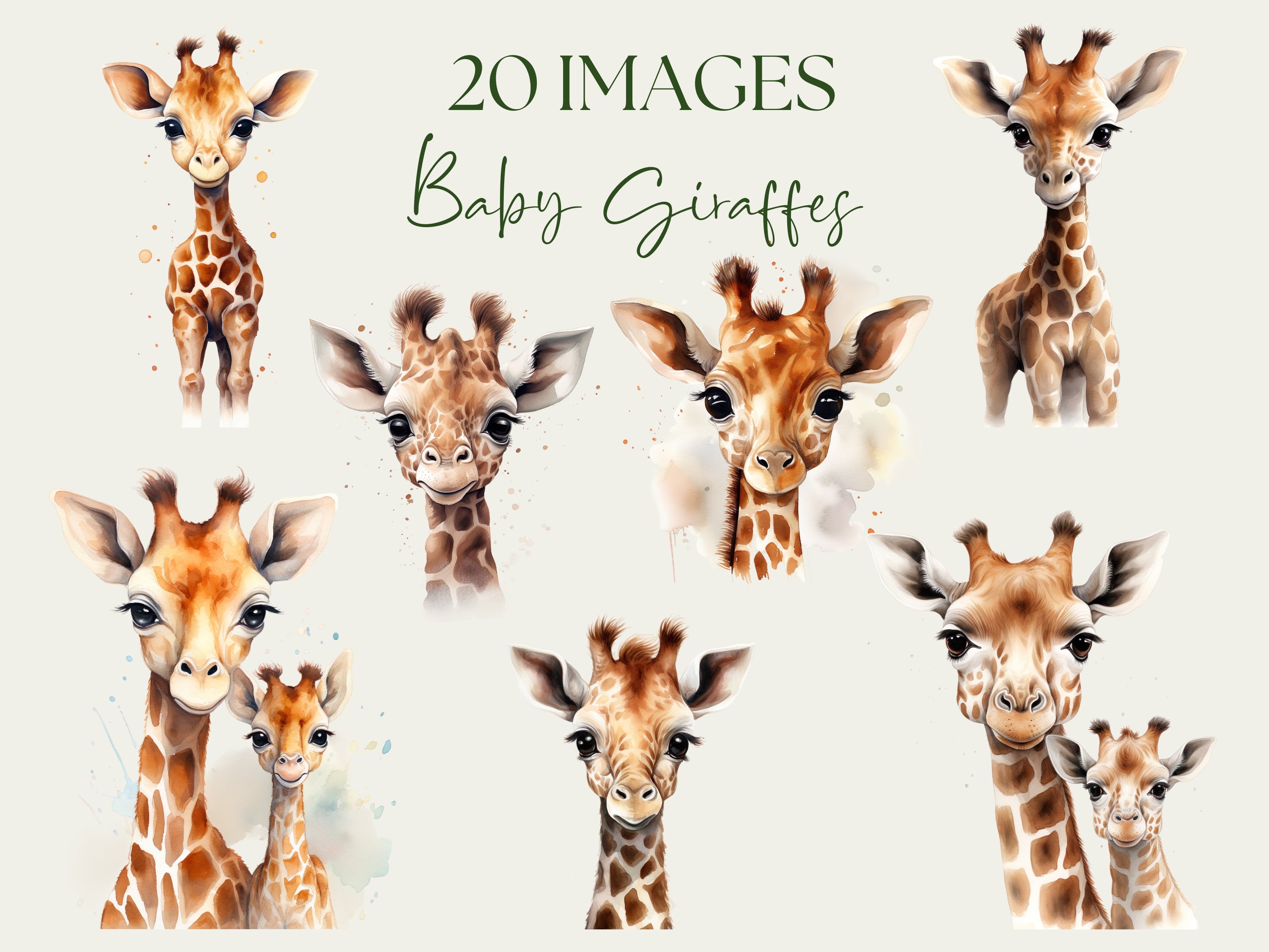 Baby Giraffe Watercolor Clipart. Commercial Use. Transparent Pngs ...