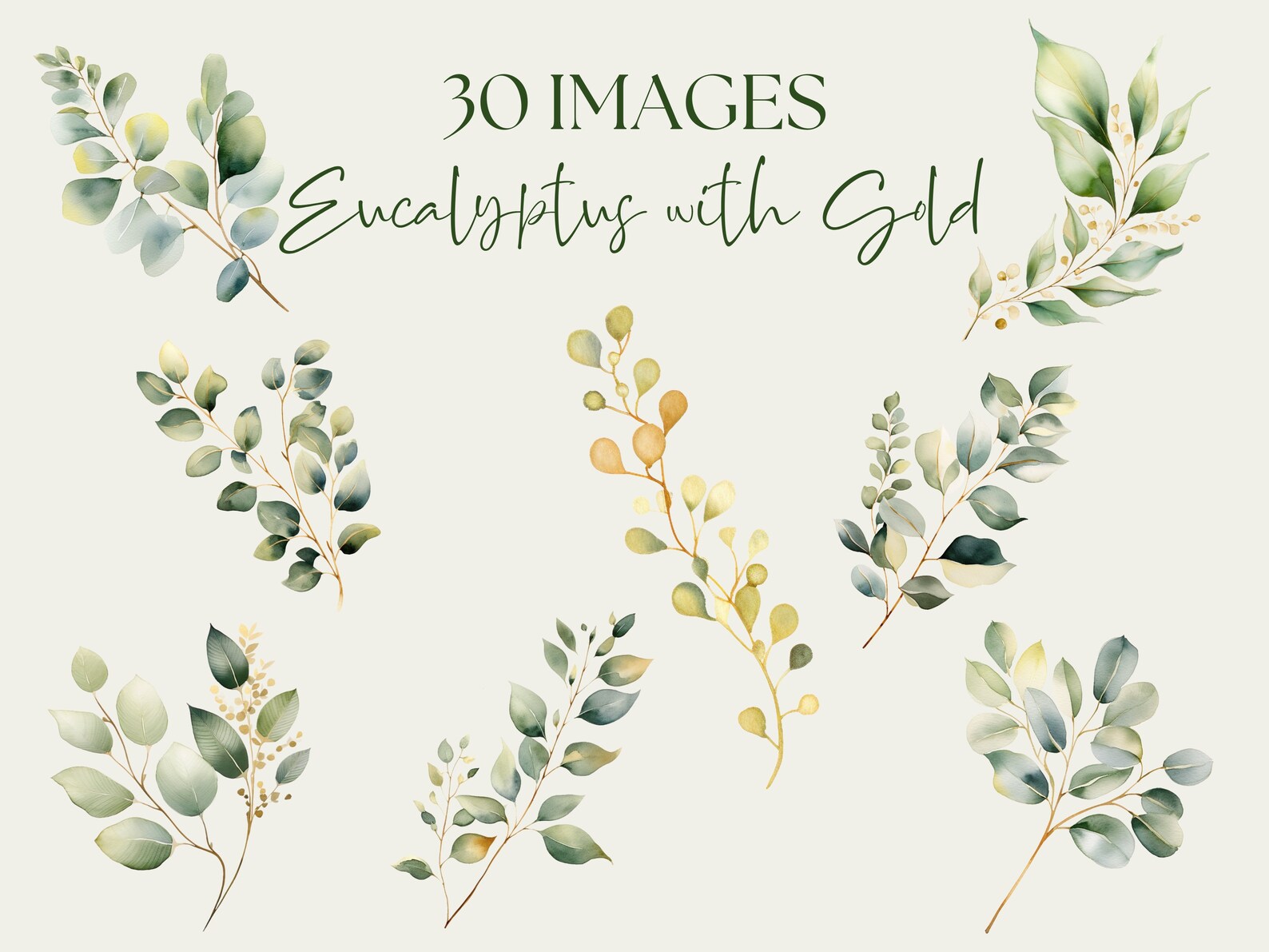 Eucalyptus Clipart. Watercolor Greenery Clip Art. Gold Foliage Images ...