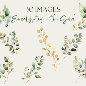 Eucalyptus Clipart. Watercolor Greenery Clip Art. Gold Foliage Images ...