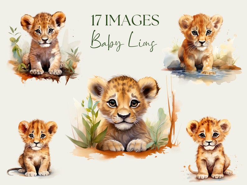 Baby Lion Watercolor Clipart. Commercial Use. Transparent Pngs. Jungle ...