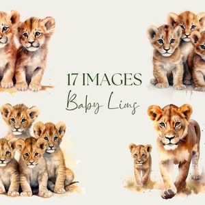 Baby Lion Watercolor Clipart. Commercial Use. Transparent Pngs. Jungle ...
