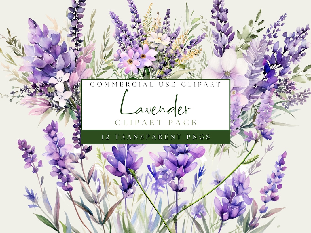 Lavender Flowers Clip Art Pack. Watercolor Purple Floral Pngs ...