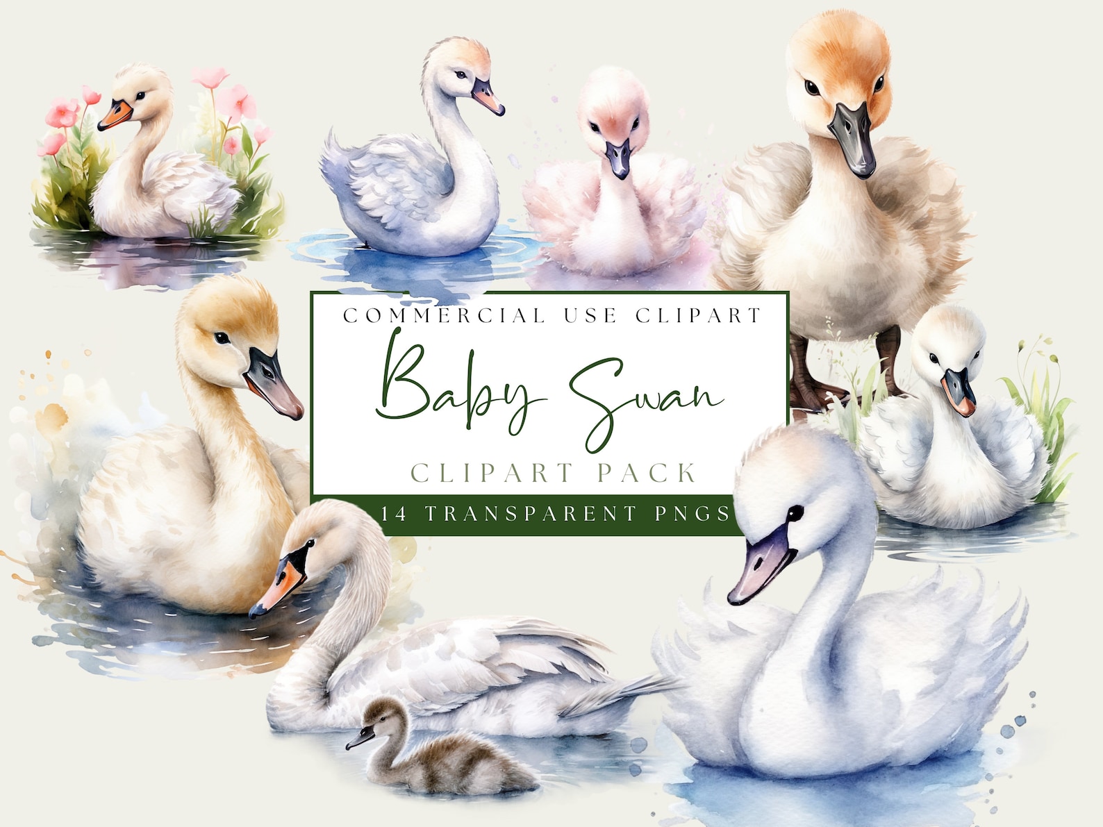 Baby Swan Clipart. Watercolor PNG Image. Nursery Wall Art. Woodland ...