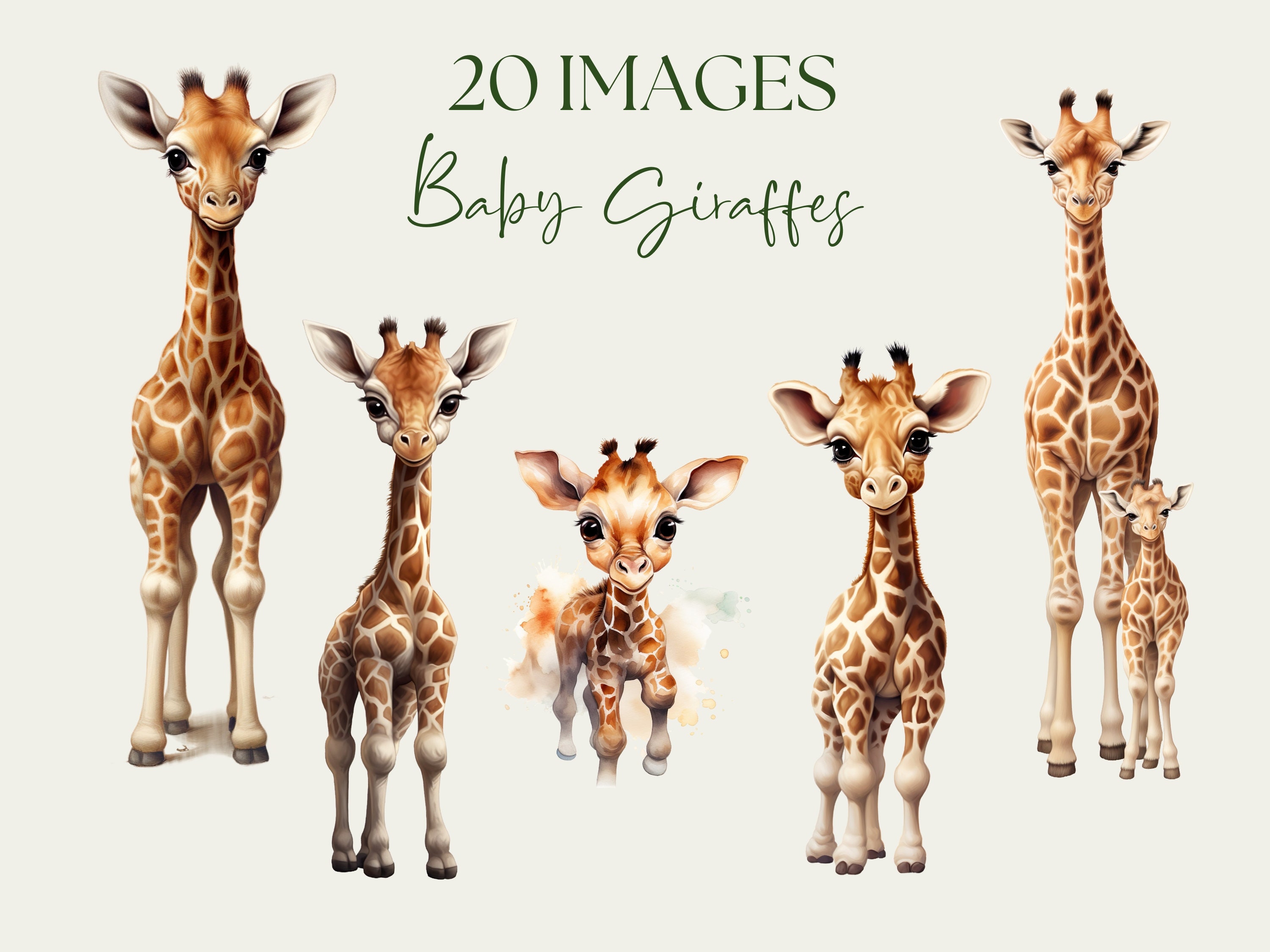 Baby Giraffe Watercolor Clipart. Commercial Use. Transparent Pngs ...