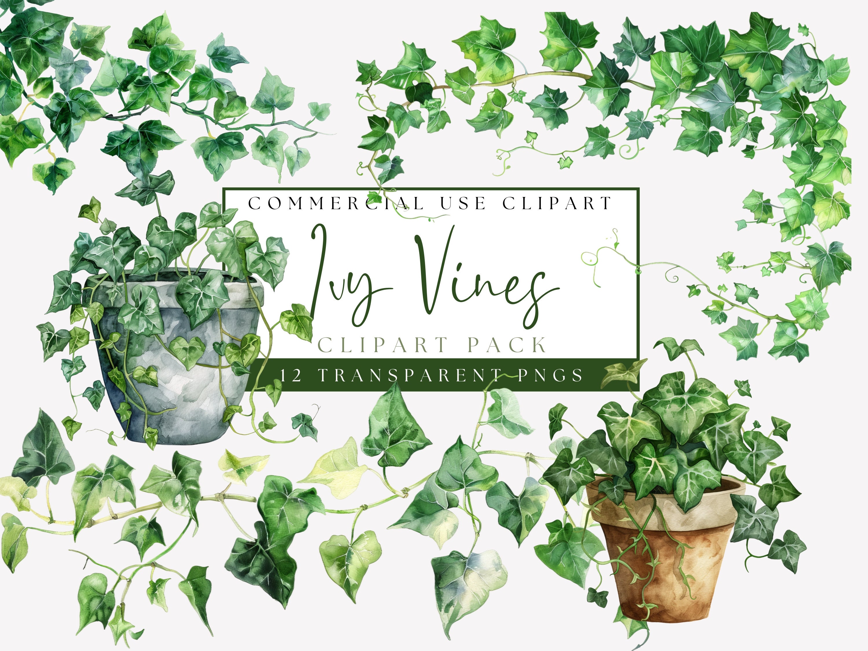 Green Vines