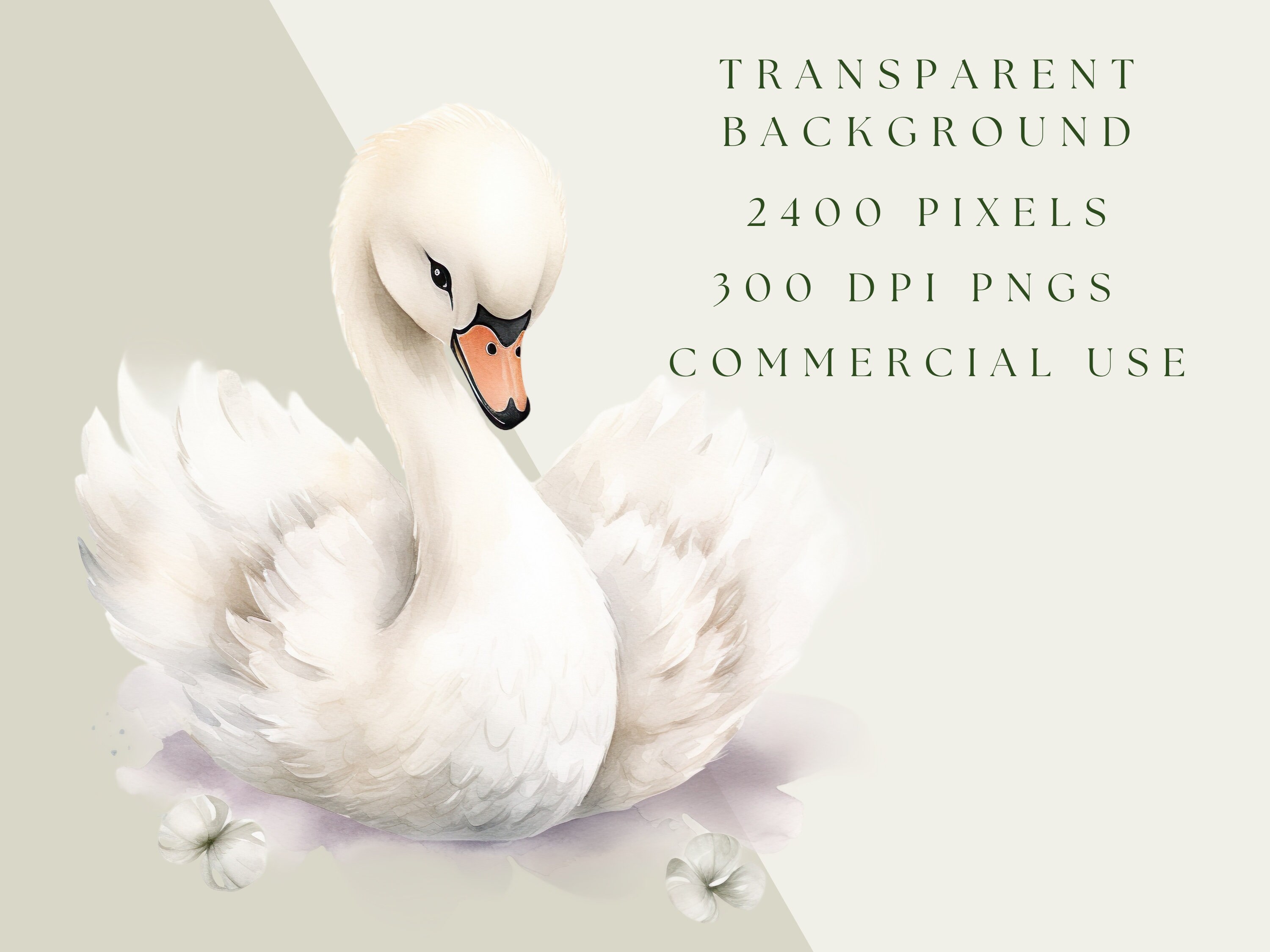 Baby Swan Clipart. Watercolor PNG Image. Nursery Wall Art. Woodland ...