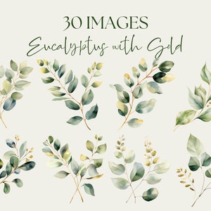 Eucalyptus Clipart. Watercolor Greenery Clip Art. Gold Foliage Images ...