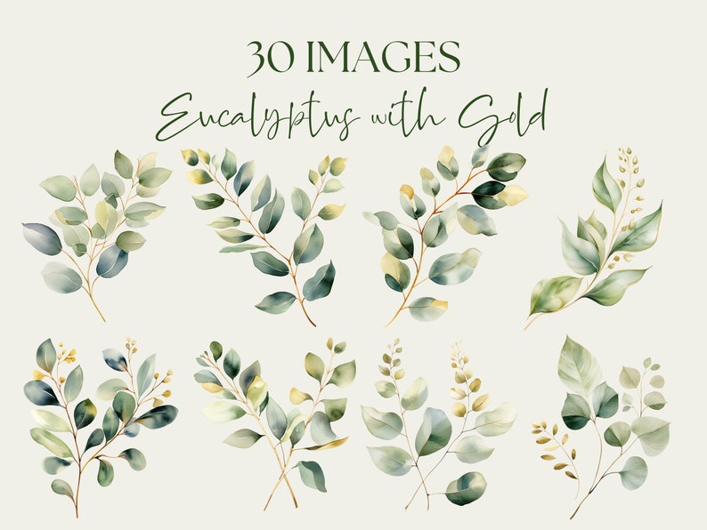 Eucalyptus Clipart. Watercolor Greenery Clip Art. Gold Foliage Images ...