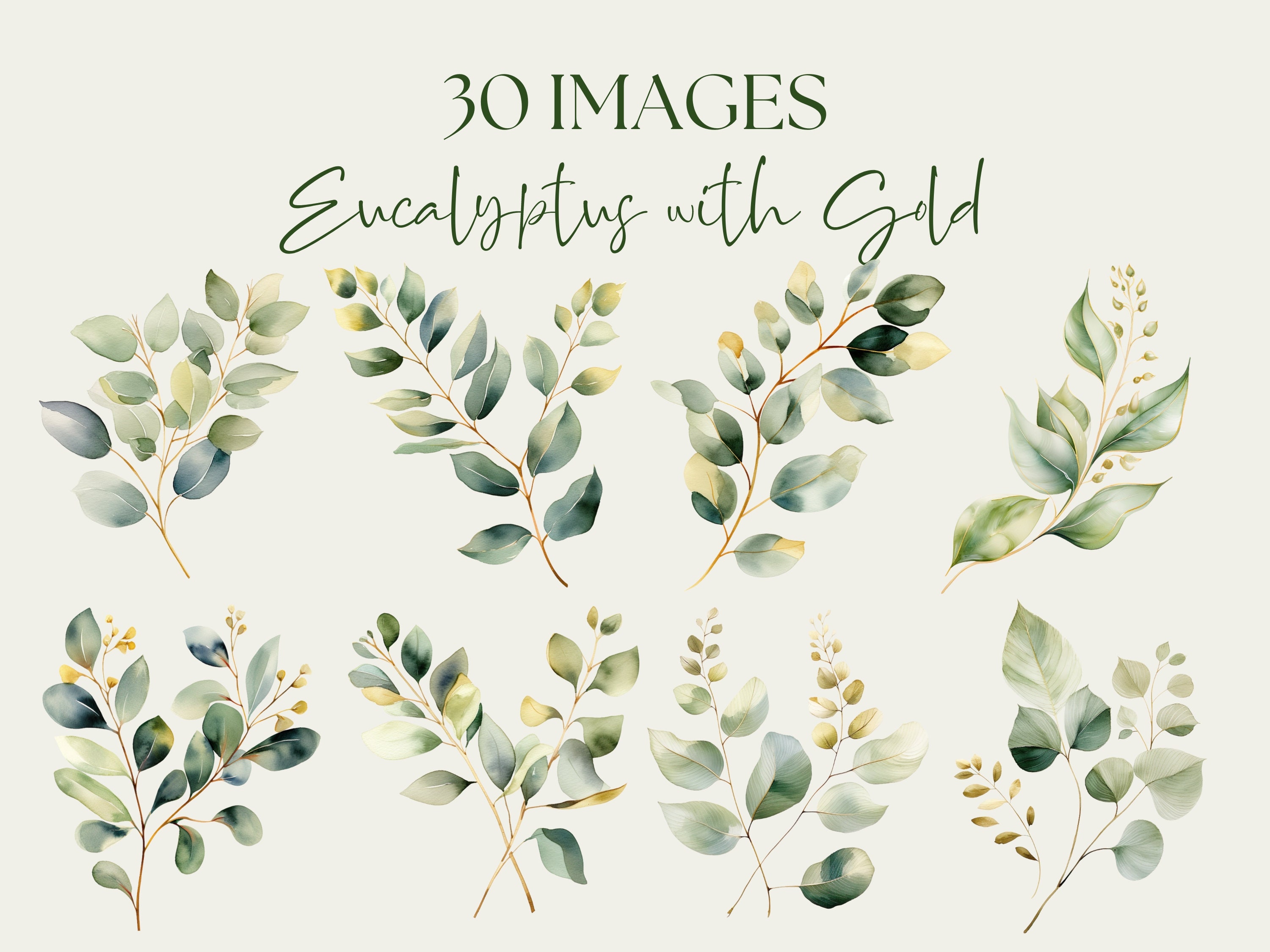 Eucalyptus Clipart. Watercolor Greenery Clip Art. Gold Foliage Images ...