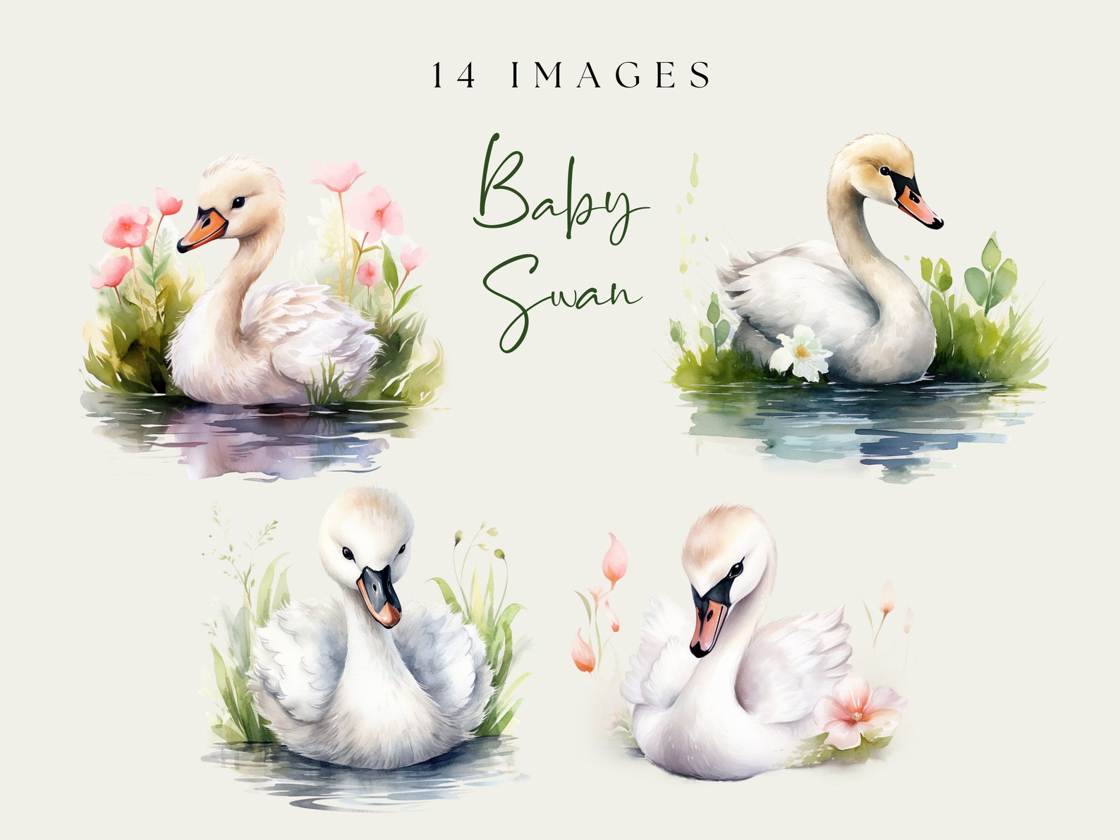 Baby Swan Clipart. Watercolor PNG Image. Nursery Wall Art. Woodland ...