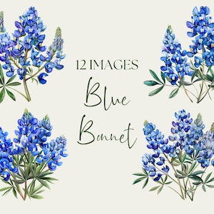 Clipart Bluebonnet. Texas Bluebonnets State Flower Watercolor Graphics ...
