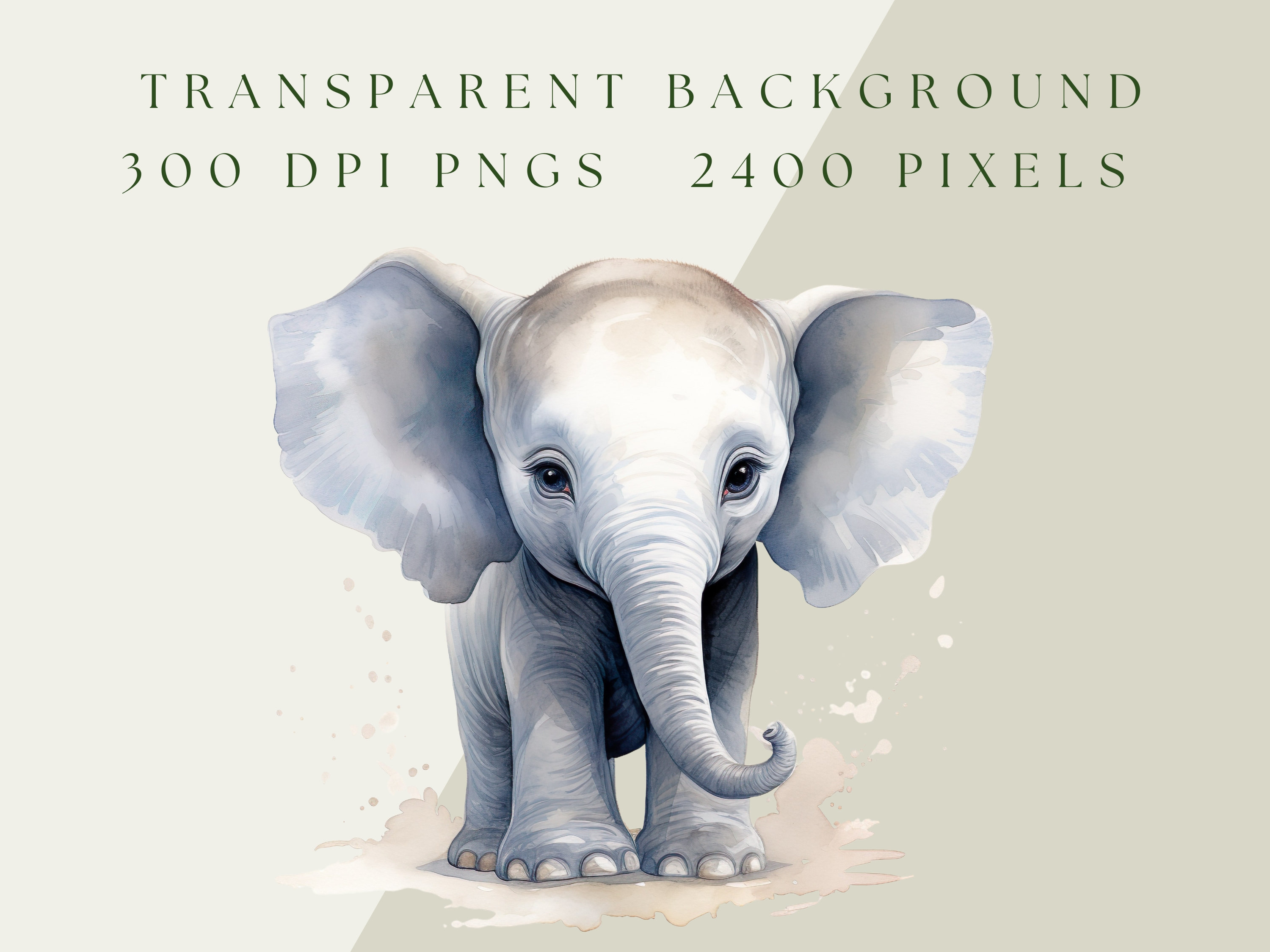 Baby Elephant Watercolor Clipart. Commercial Use. Transparent Pngs ...