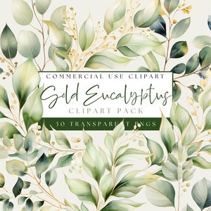 Eucalyptus Clipart. Watercolor Greenery Clip Art. Gold Foliage Images ...