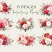 Valentine Watercolor Flowers Clipart Pack. Valentines Day Flower Images ...
