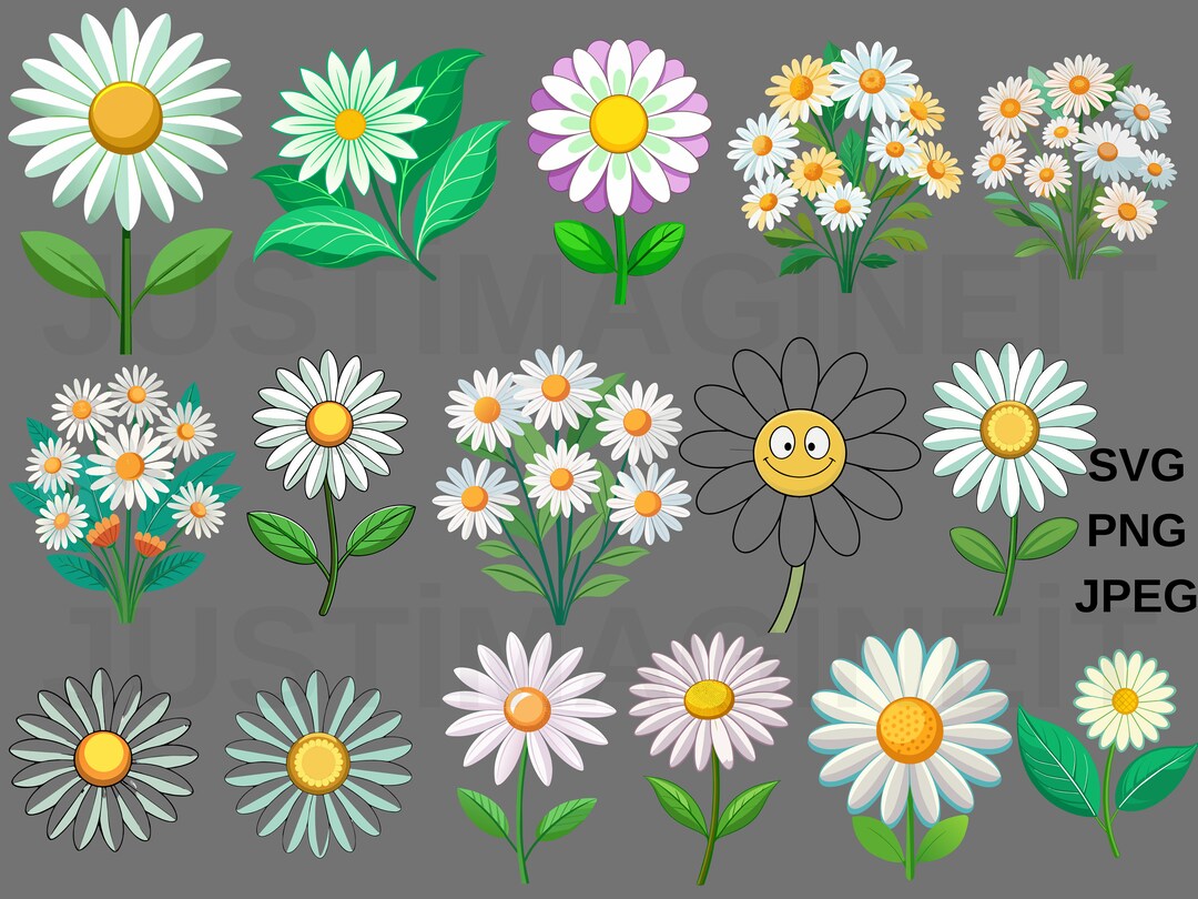 Daisy SVG Bundle, Daisy Flower Svg Files for Cricut, Clipart Cut Files ...