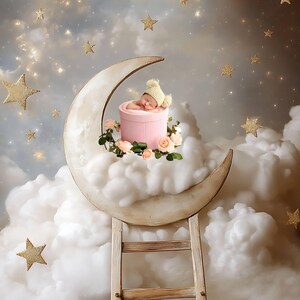 20 Newborn Digital Backdrop Bundle, White Crescent Moon,baby Boy Girl ...