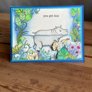 Value Pack of Jungle Blank Cards - Etsy