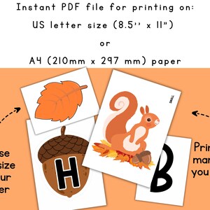 Fall Bulletin Board | Autumn Bulletin Board | Woodland Bulletin Board ...