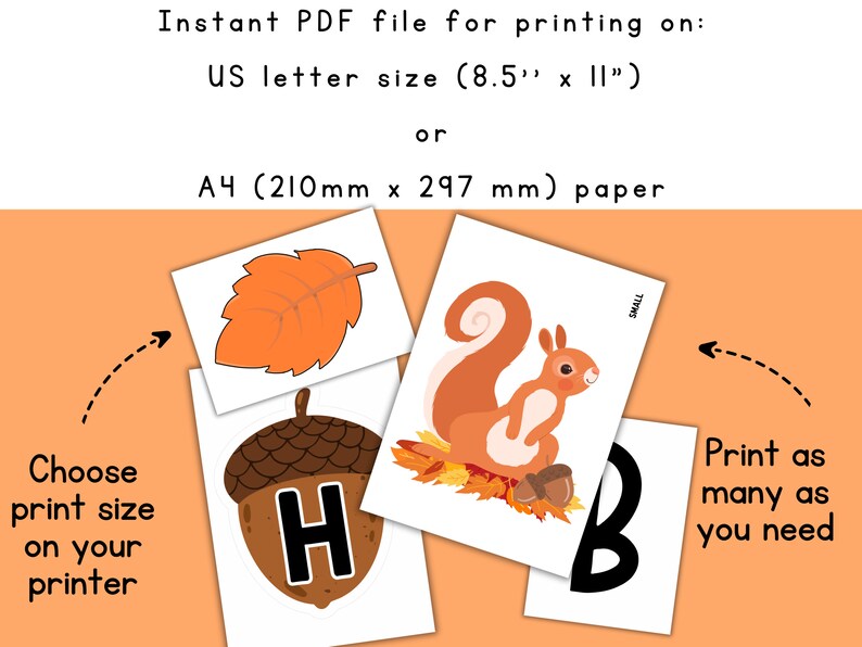Fall Bulletin Board | Autumn Bulletin Board | Woodland Bulletin Board ...