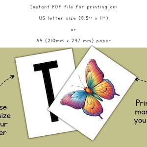 Spring Bulletin Board | Easy Door Decor | Pastel Bulletin Board Kit ...