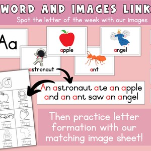 Letter of the Week Bulletin Board | Alphabet Bulletin Board ...