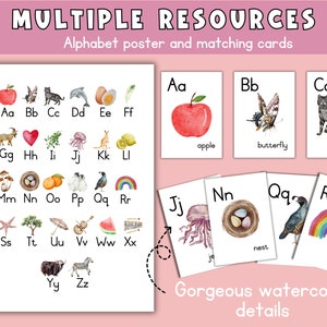 Letter of the Week Bulletin Board | Alphabet Bulletin Board ...