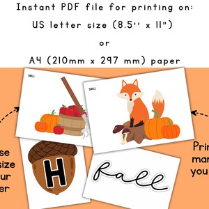 Fall Bulletin Board | Autumn Bulletin Board | Woodland Bulletin Board ...
