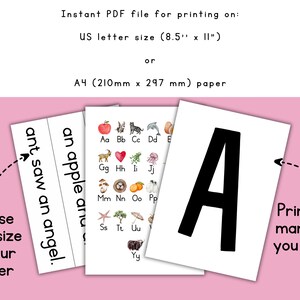 Letter of the Week Bulletin Board | Alphabet Bulletin Board ...