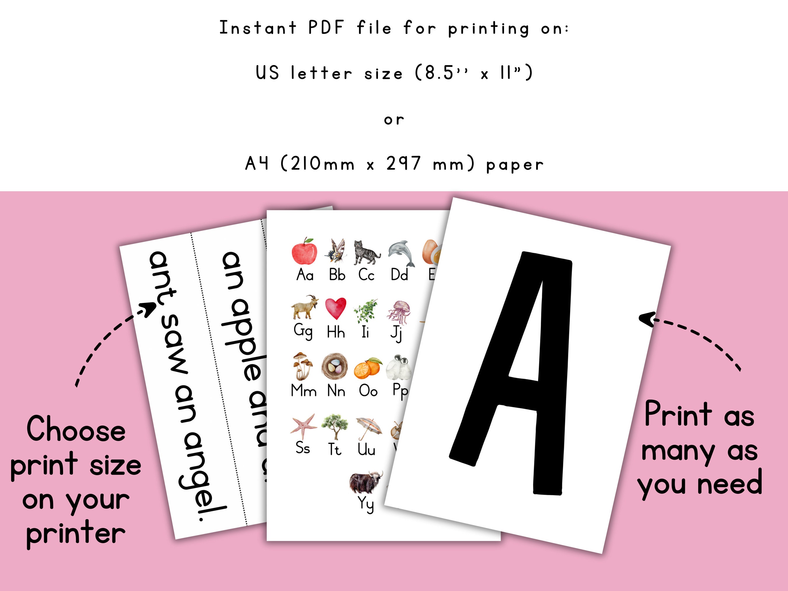 Letter of the Week Bulletin Board | Alphabet Bulletin Board ...