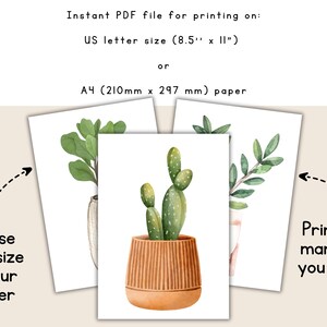 Botanical Bulletin Board | Plants Classroom Decor | New Year Bulletin ...