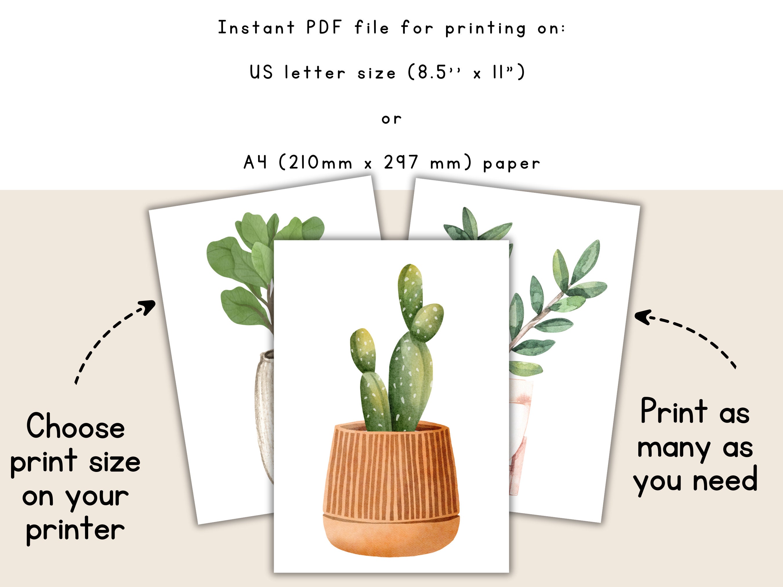 Botanical Bulletin Board | Plants Classroom Decor | New Year Bulletin ...