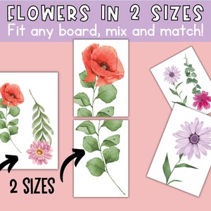 Very Demure, Very Cutesy, Very Mindful Bulletin Board | Floral ...